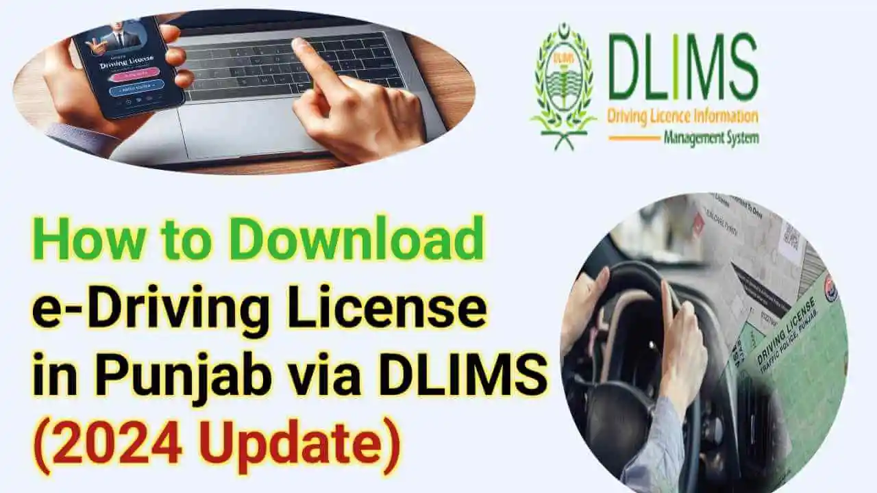 How to Download Your E-Driving License Online in Punjab (Fast & Easy Guide) - Check Your Driving ...
